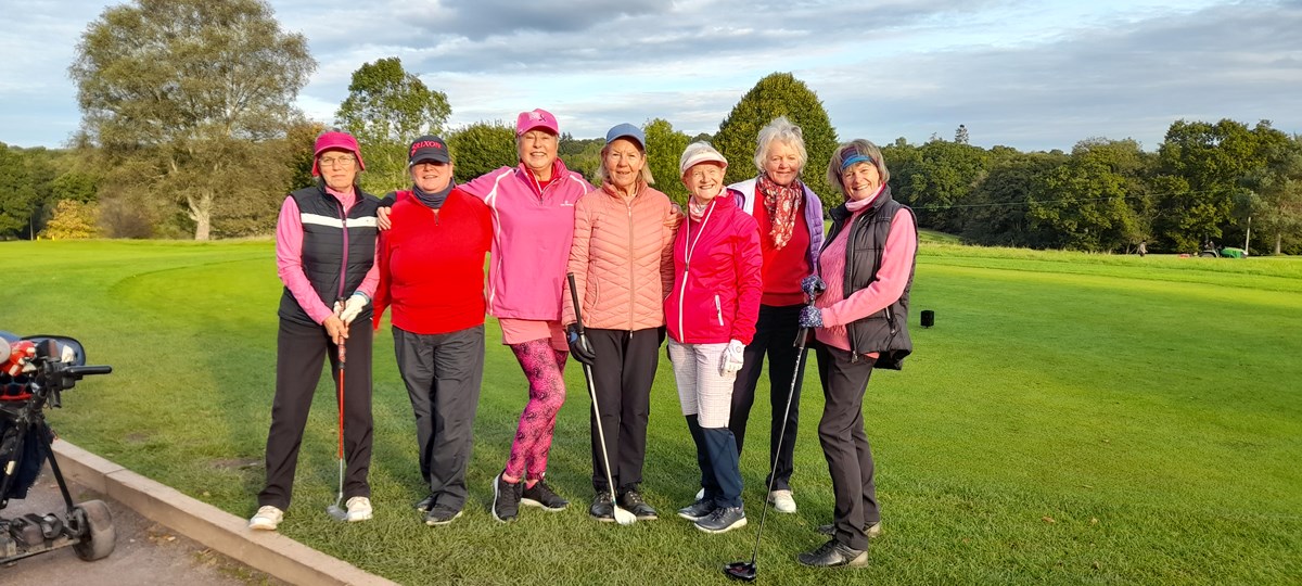 Carol PORTER is fundraising for Breast Cancer Now