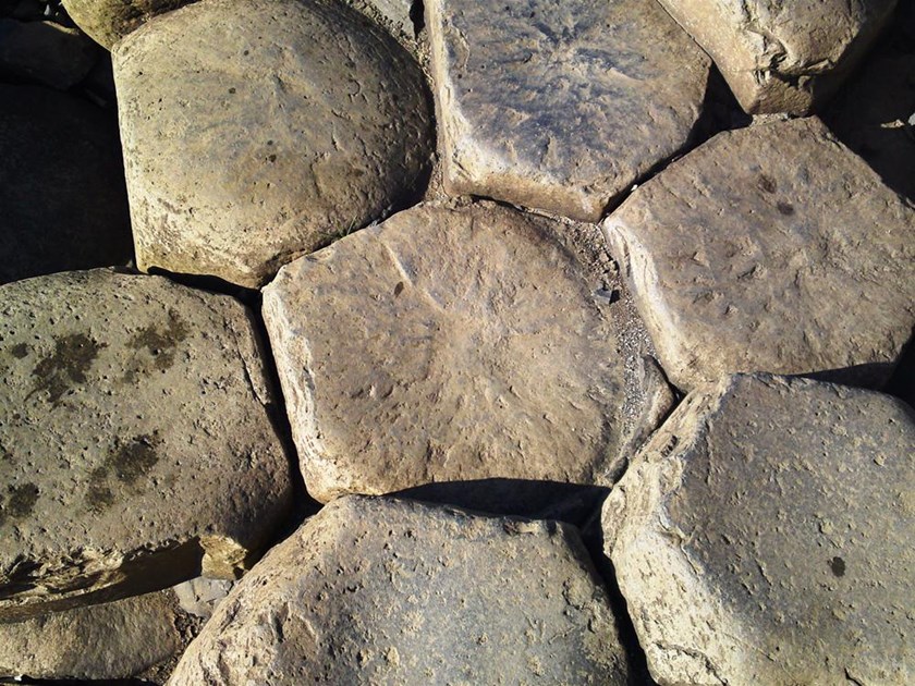 Justin Boylan-Toomey is fundraising for The Haemophilia Society