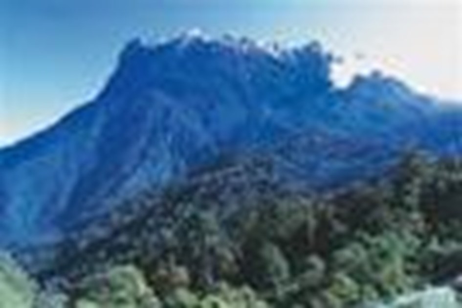 Natasha Schofield is fundraising for Rosemere Cancer Foundation