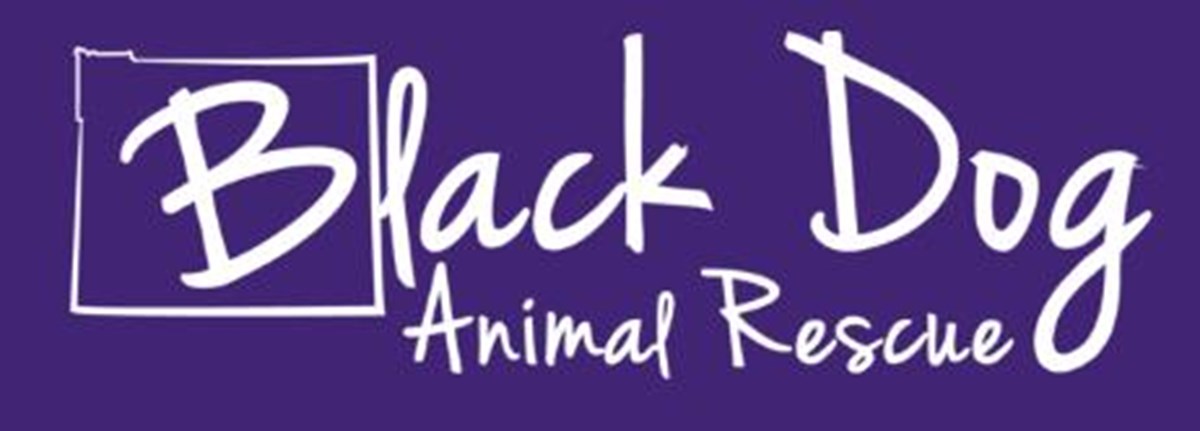 Cheyenne Village Inn is fundraising for Black Dog Animal Rescue