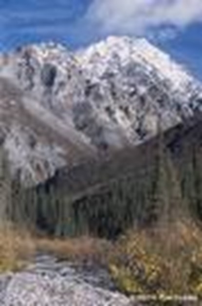 Michael Butters is fundraising for Regain - The Trust For Sports ...