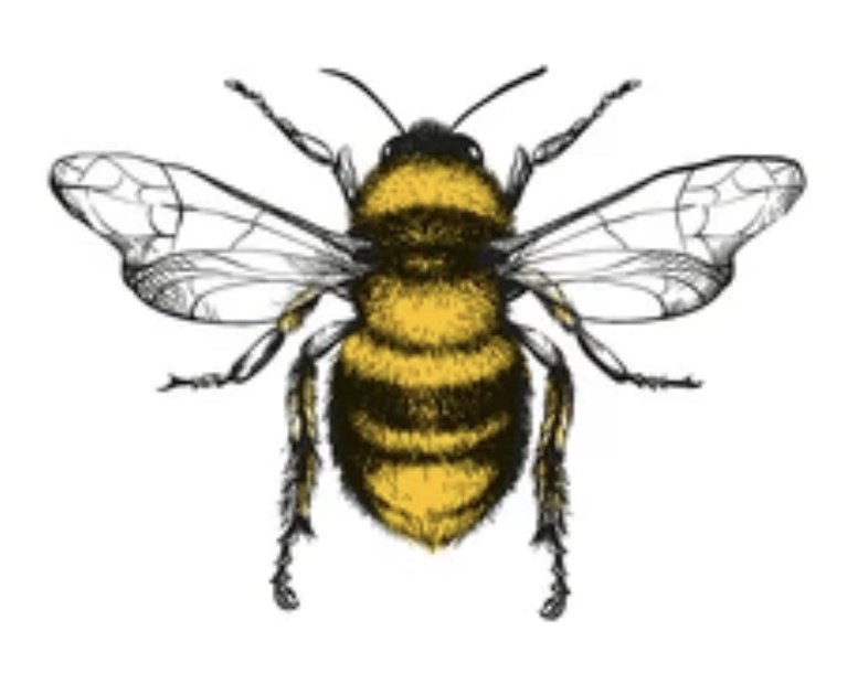 Deborah Telfer-King is fundraising for Sands