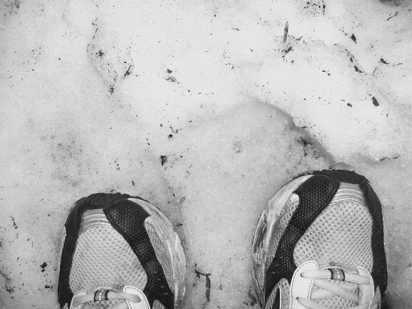 Daniel Boulter is fundraising for Battersea