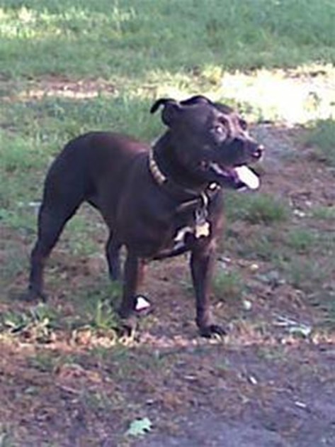 Ella Pickard is fundraising for Teenage Cancer Trust