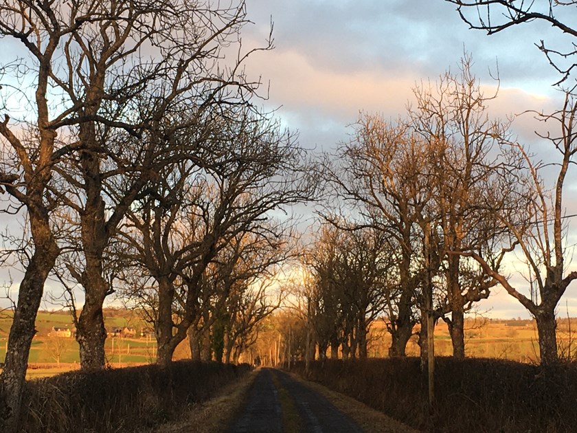 Jill Stott is fundraising for The Eve Appeal