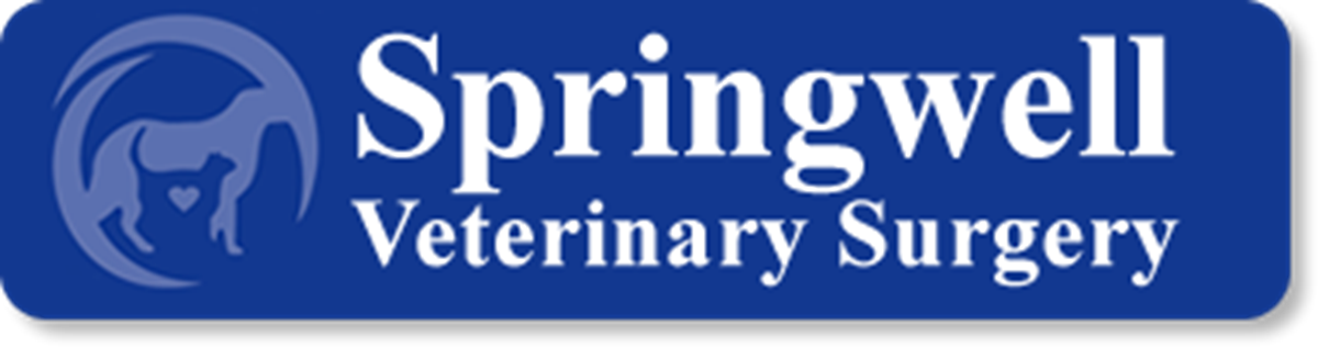 Springwell Vets is fundraising for Chilterns Dog Rescue Society