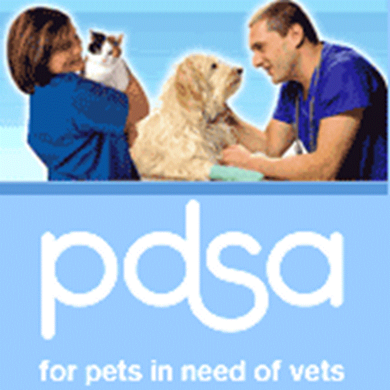 Andrew Stevensen is fundraising for PDSA