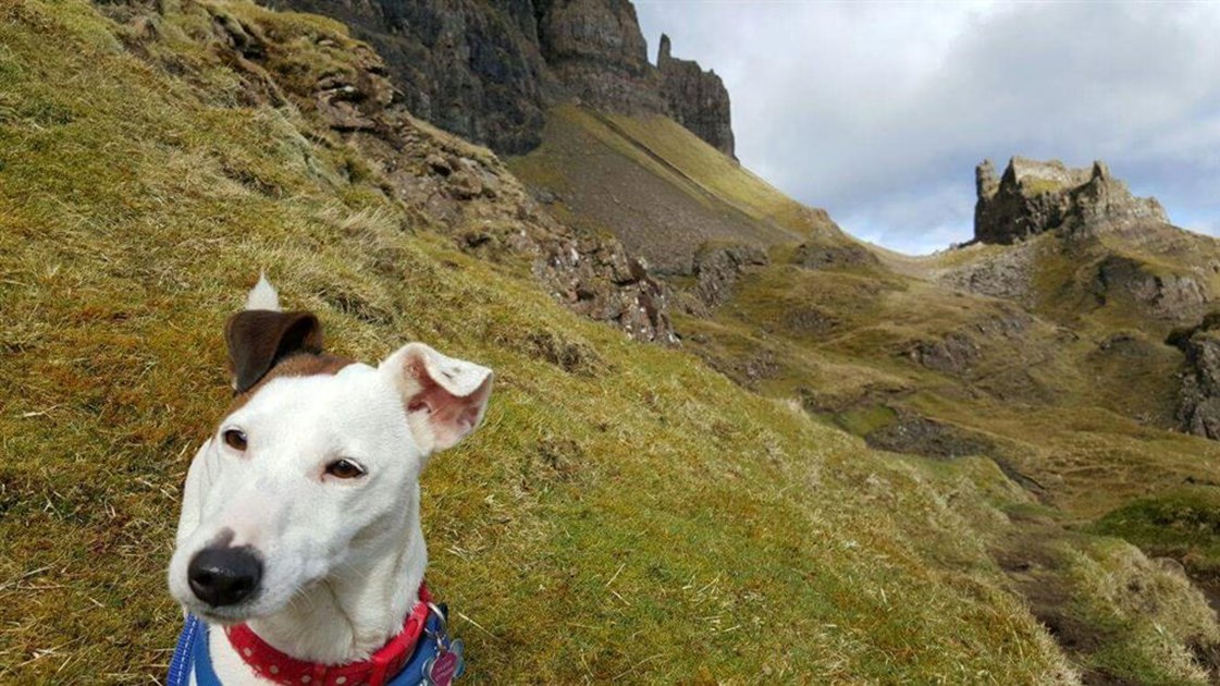 Louise Passmore is fundraising for SARDA Scotland