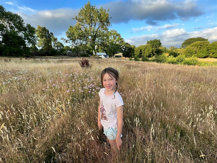 Robyn Drew is fundraising for Knepp Wildland Foundation