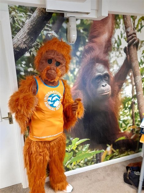 Jordon Mack is fundraising for International Animal Rescue