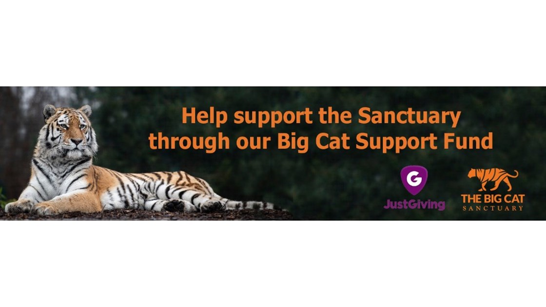 Ricky Reino is fundraising for The Big Cat Sanctuary