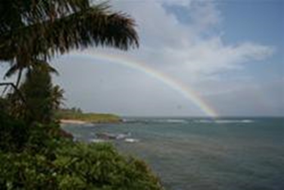 Aisling Fox is fundraising for Cancer Research UK