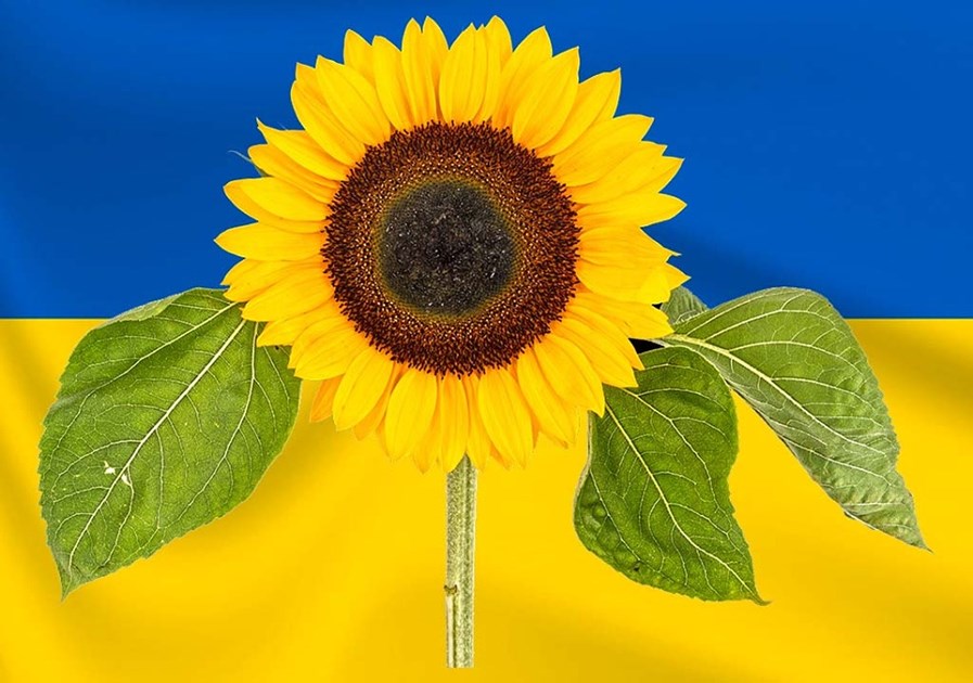 Grace and Jack Gurney is fundraising for ActionAid