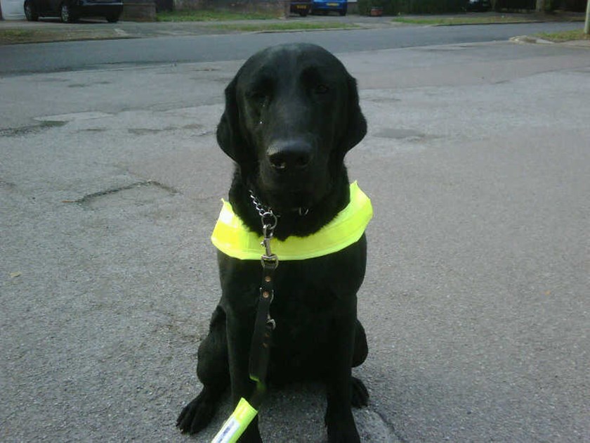 Luke Potts is fundraising for Guide Dogs