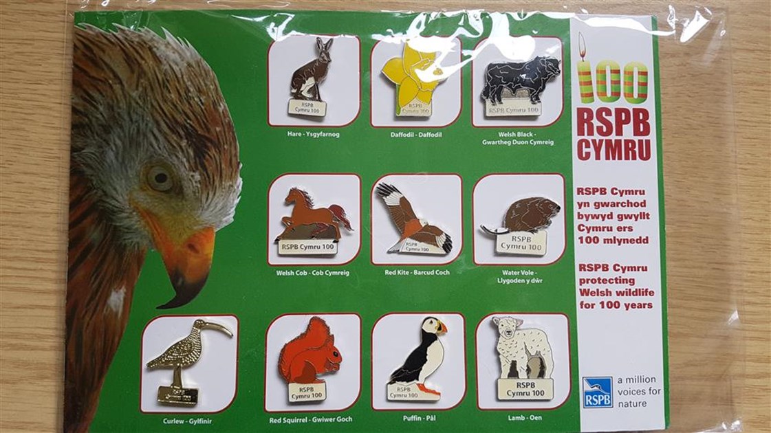 Shaun Nield is fundraising for RSPB