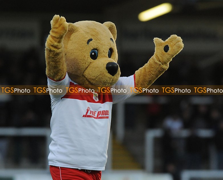 Boro Bear is fundraising for Stevenage FC in the Community