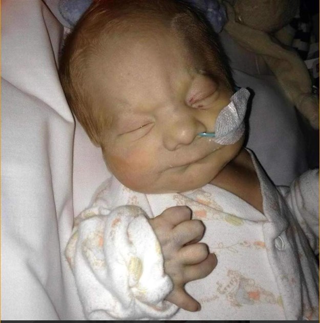 Kate Ledger is fundraising for Francis House Children's Hospice