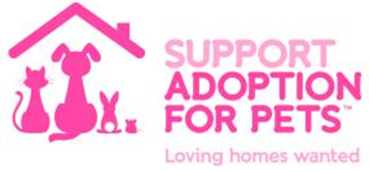 Gemma Stubbs is fundraising for Pets Foundation