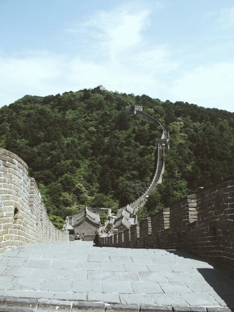 Izzy Cross is fundraising for Arc