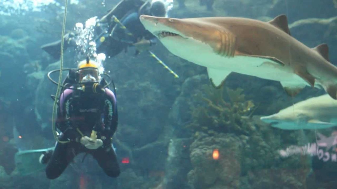 Laura Dey is fundraising for Children Today