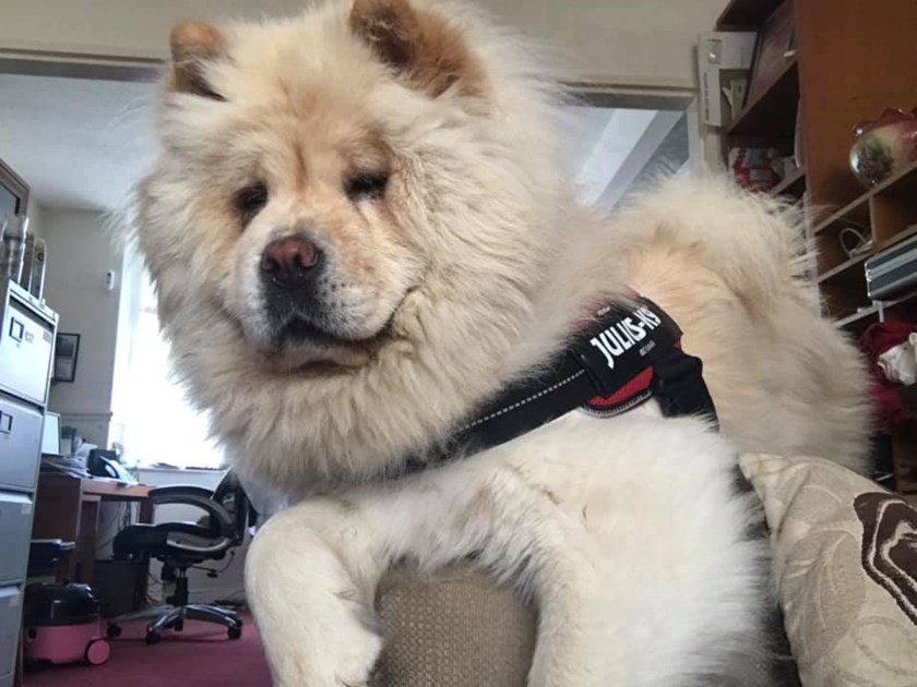 Alan Hoey is fundraising for CEO Sleepout