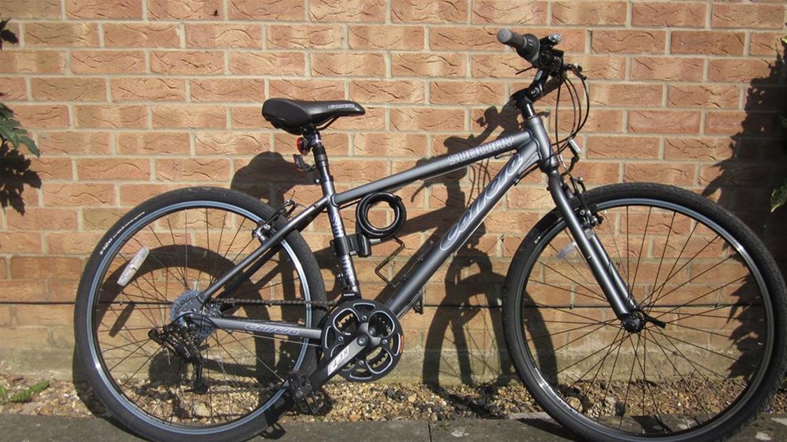 Sonia Mirrington-French is fundraising for British Heart Foundation