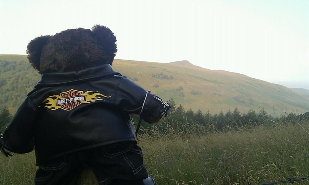 Joanne Butler is fundraising for Children's Bereavement Centre