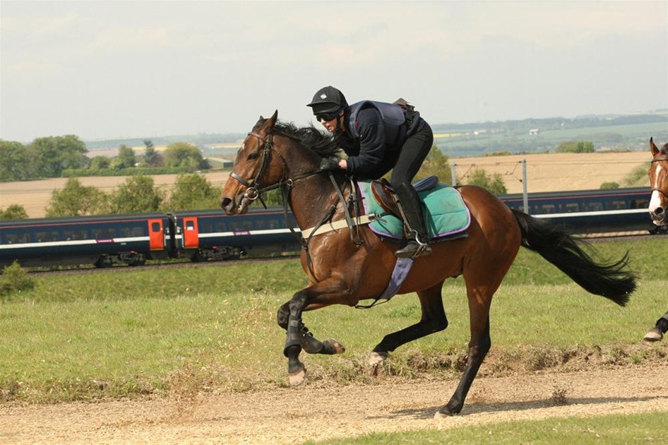 Michelle Bardsley is fundraising for National Horseracing College