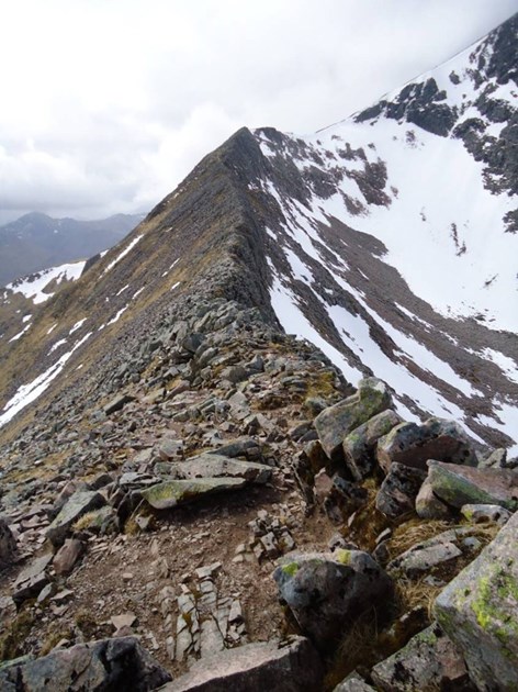 Mark Elston is fundraising for Whizz Kidz