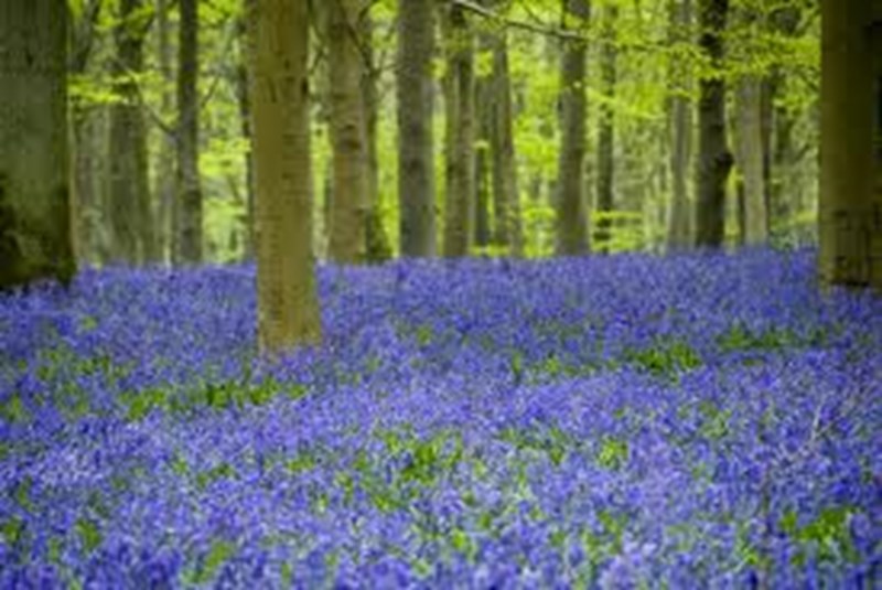 Fiona Ray is fundraising for Heart Of Kent Hospice