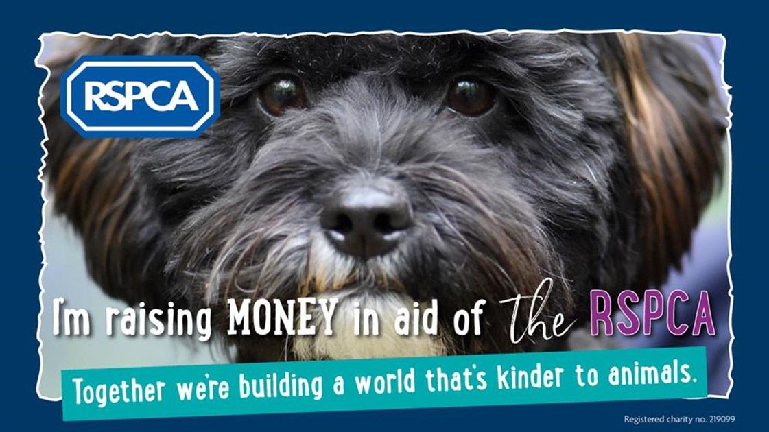 Joanna Remzi is fundraising for RSPCA