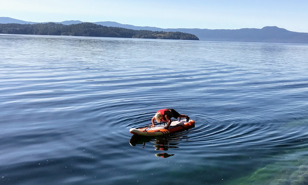 Kerry Shepherd is fundraising for Pacific Assistance Dogs