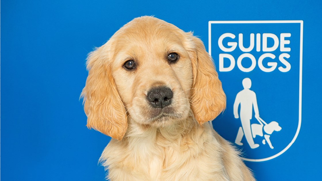 PETER NAZARIO is fundraising for Guide Dogs