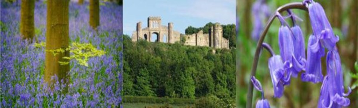 Prue Jackson is fundraising for NSPCC