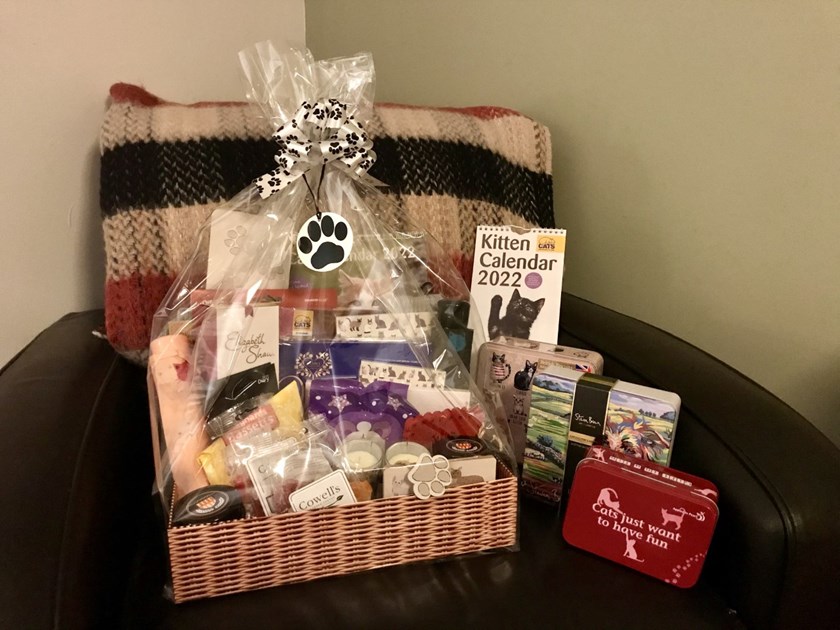Cats Protection Northumbria Branch is fundraising for Cats Protection