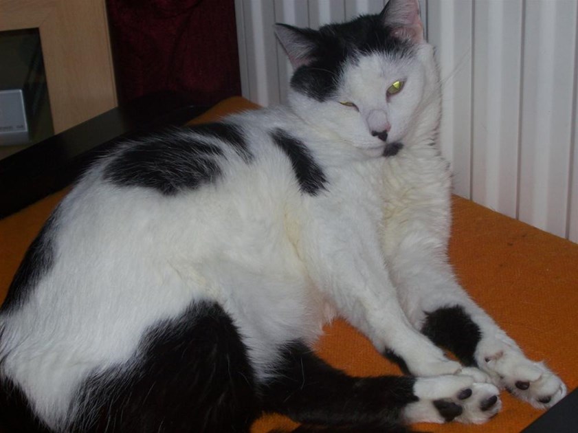 Emma Horrocks is fundraising for RSPCA Manchester and Salford