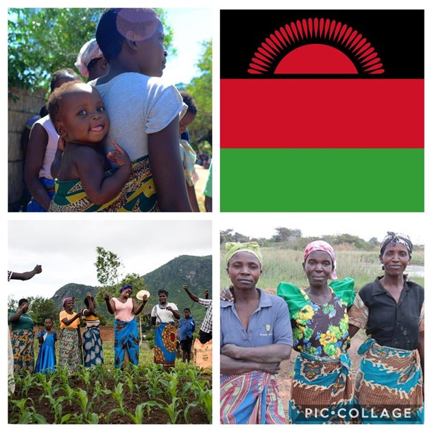 Frankie Ball is fundraising for The Zikomo Trust