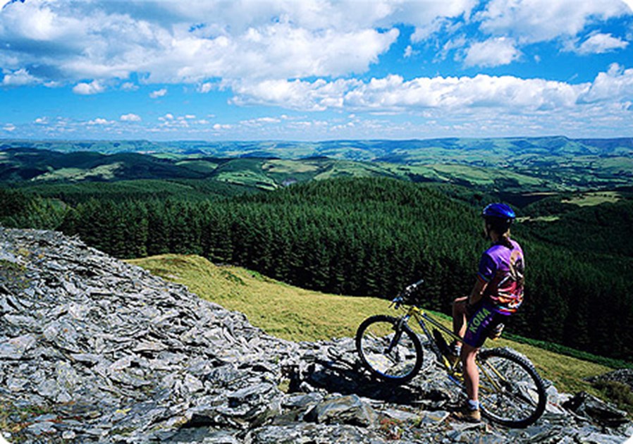 graham cadle is fundraising for Regain - The Trust For Sports Tetraplegics