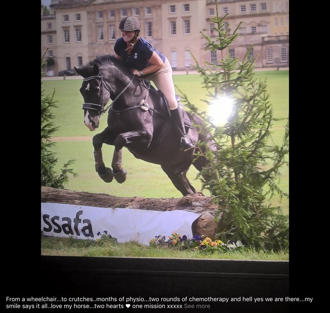 Amanda Parfitt is fundraising for Hannah's Willberry Wonder Pony Charity