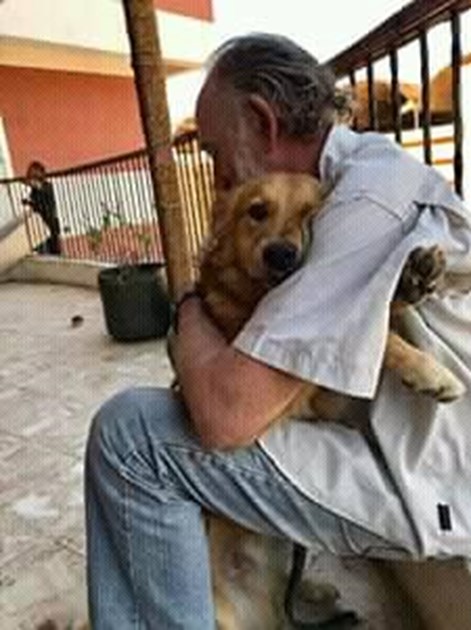 Helen Collins is fundraising for ACE (Animal Care in Egypt)