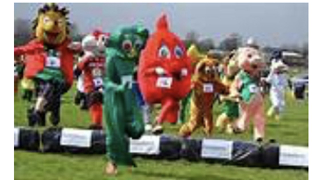 Rachel Scarr is fundraising for Sue Ryder