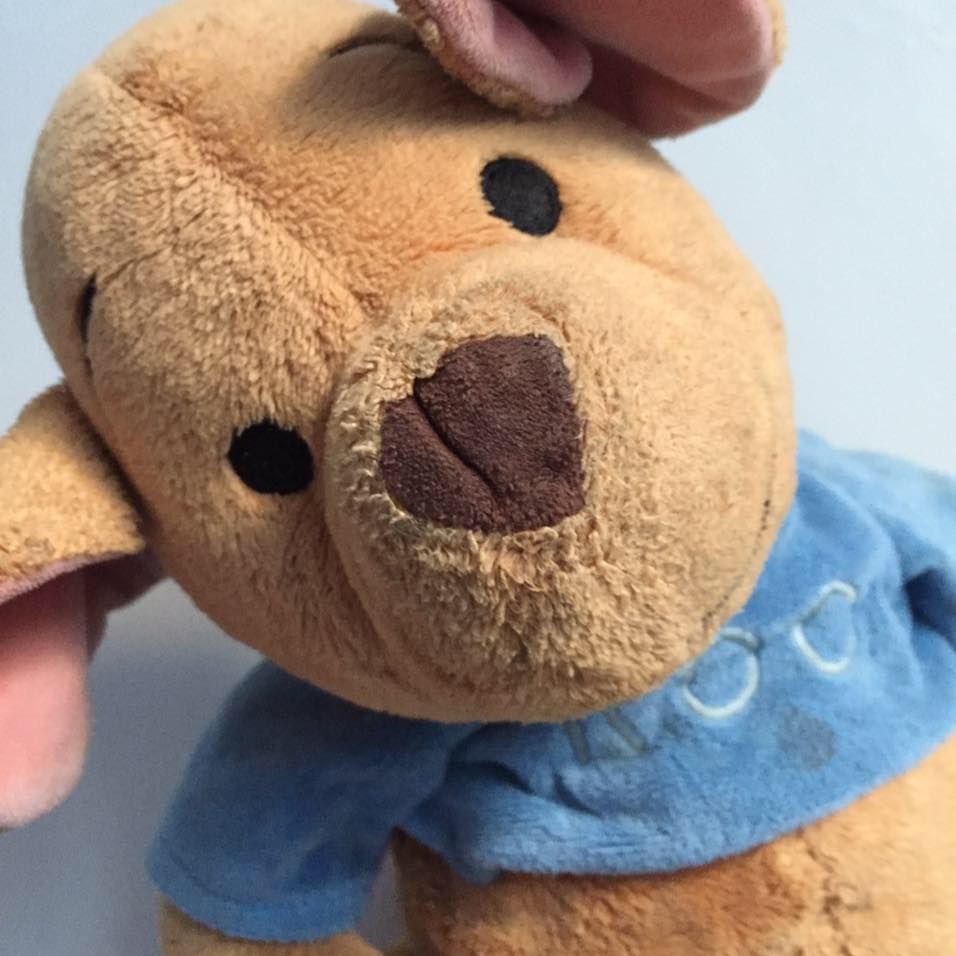 Jaimie Hall is fundraising for Little Princess Trust