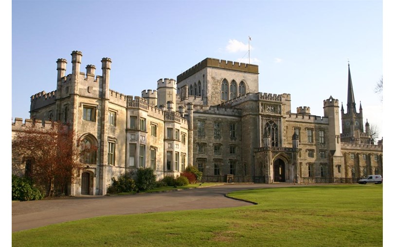 Ashridge Business School is fundraising for Comic Relief: Red Nose Day