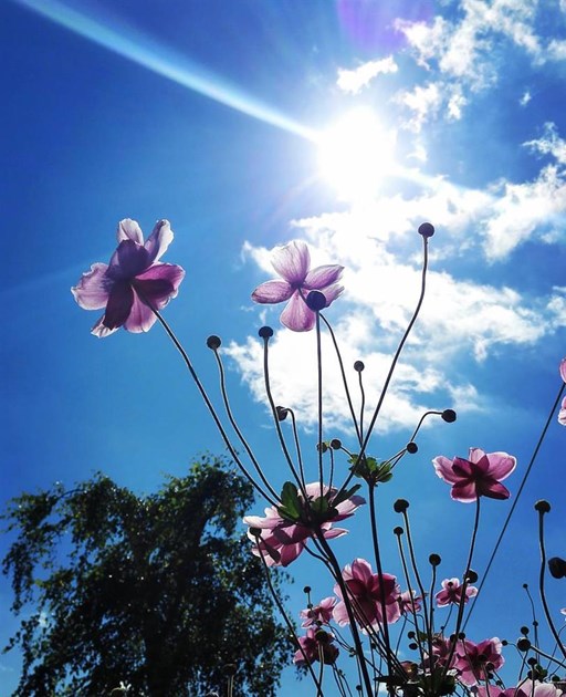 Danielle Tinker is fundraising for Alzheimer's Society