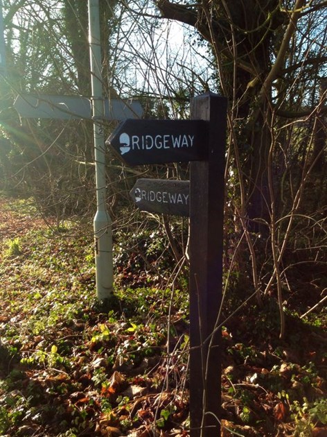 Luke Pedder is fundraising for Sense