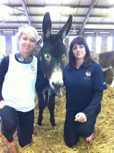 Adele Foxwell is fundraising for The Donkey Sanctuary