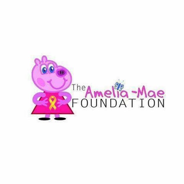 Suzanne Delaney is fundraising for The Amelia-Mae Foundation