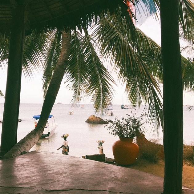 Lara Hansen is fundraising for Travelteer Impact