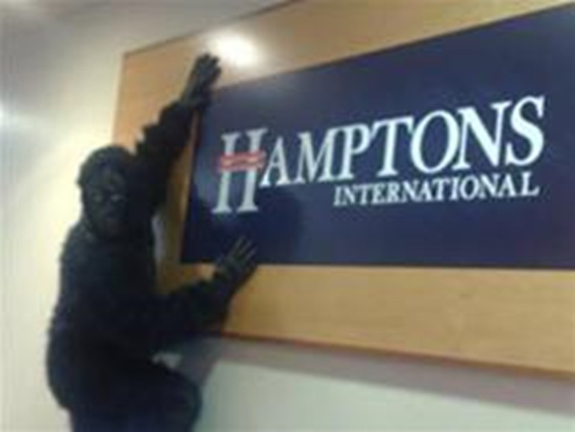 Andrew Gillon is fundraising for The Gorilla Organization