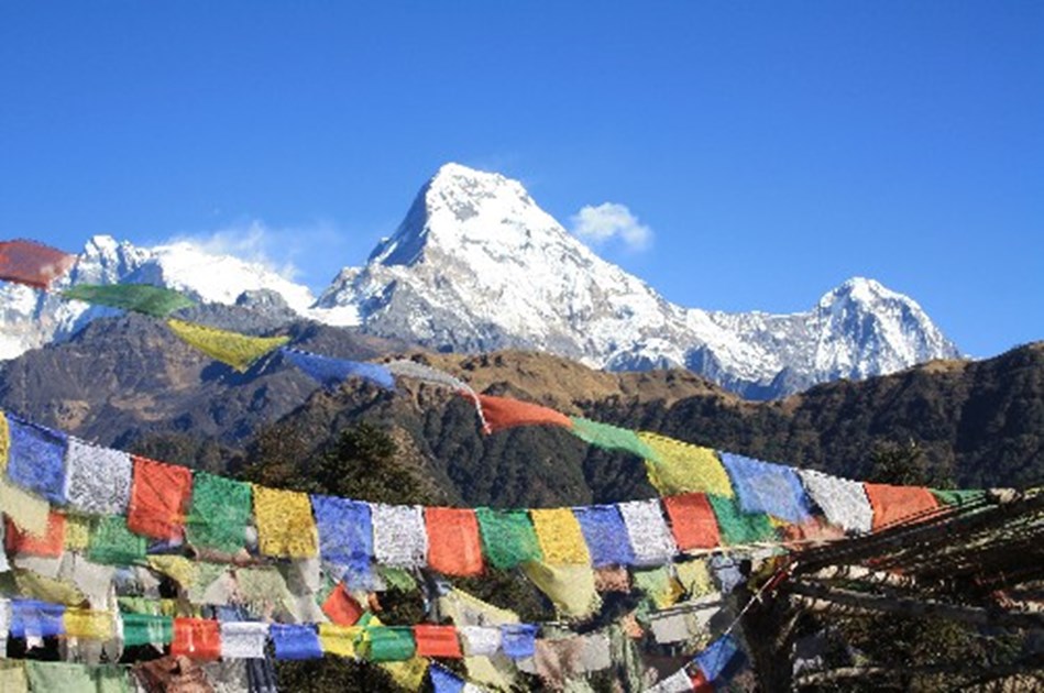 Rachel Howarth is fundraising for DUCK